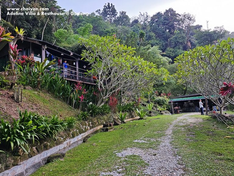 Adeline Villa & Resthouse @ Gopeng - Mimi's Dining Room